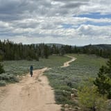 Limestone Mountain Loop, Wyoming - 16 Reviews, Map | AllTrails