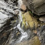 Ragged Point Inn Trail, California - 166 Reviews, Map | AllTrails