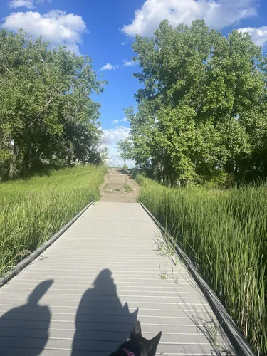 2023 Best Partially Paved Trails in Thornton | AllTrails