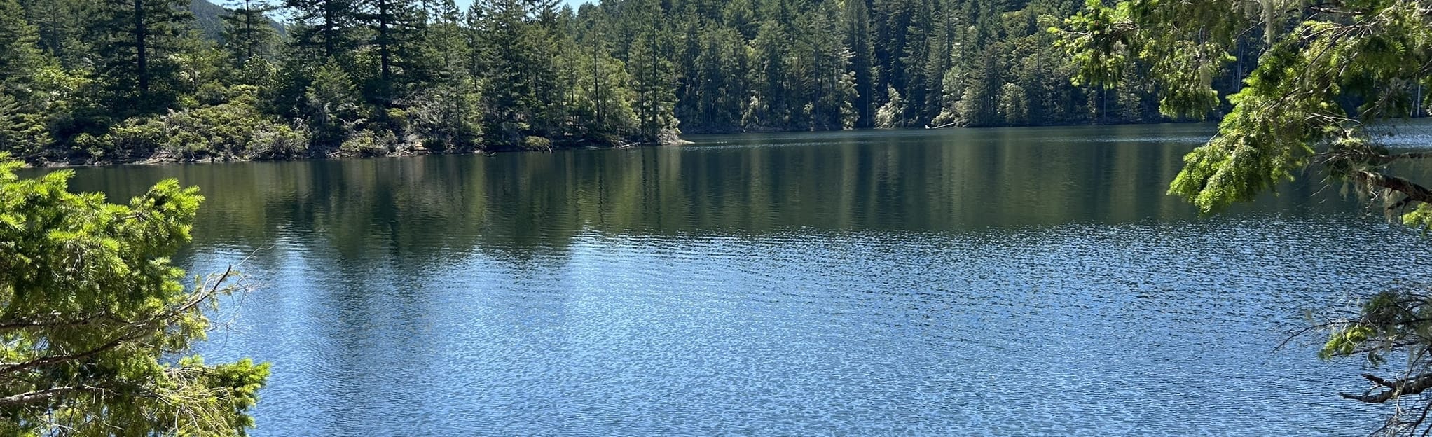 Kent Lake via Candalero Canyon Trail Loop, California - 387 Reviews ...