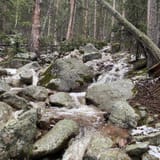 Sentinel Point Trail, Colorado - 163 Reviews, Map | AllTrails