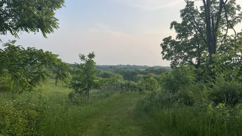 Best Easy Trails in Governor Dodge State Park | AllTrails