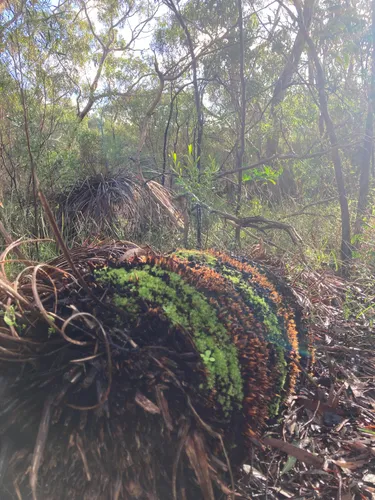 Best Hikes and Trails in Scott Conservation Park | AllTrails