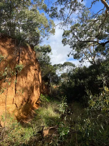 Best Hikes and Trails in Scott Conservation Park | AllTrails