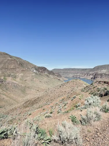 Best Hikes and Trails in Lake Owyhee State Park | AllTrails