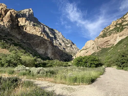 10 Best Trails and Hikes in Provo | AllTrails