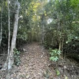 Conway Circuit (Whitsunday Great Walk), Queensland, Australia - 51 ...