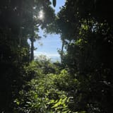 Conway Circuit (Whitsunday Great Walk), Queensland, Australia - 51 ...