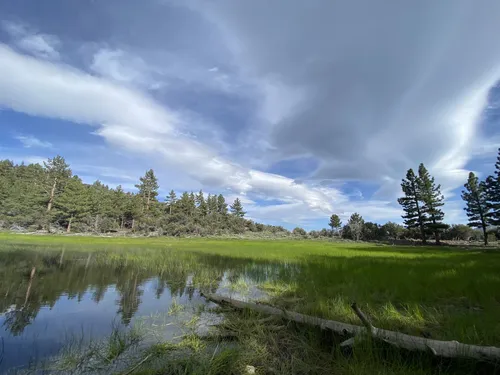 10 Best Long Trails in Humboldt-Toiyabe National Forest | AllTrails