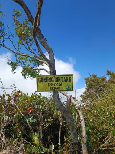 Best Hikes and Trails in Gunung Inas Forest Reserve | AllTrails