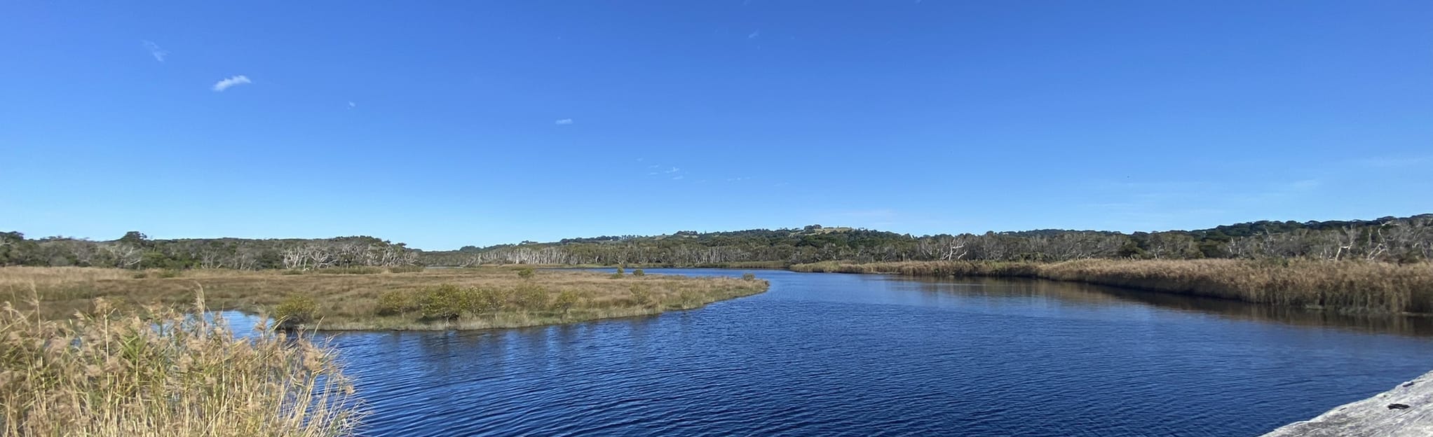 Tallow Beach and Arakwal National Park Trail, New South Wales ...