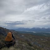 Kesugi Ridge (Curry Ridge) Trail, Alaska - 223 Reviews, Map | AllTrails