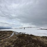 Kesugi Ridge (Curry Ridge) Trail, Alaska - 223 Reviews, Map | AllTrails