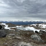 Kesugi Ridge (Curry Ridge) Trail, Alaska - 223 Reviews, Map | AllTrails