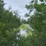 Minto-Brown Island Park, Oregon - 904 Reviews, Map | AllTrails