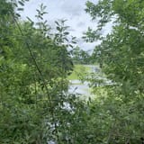 Minto-Brown Island Park, Oregon - 904 Reviews, Map | AllTrails