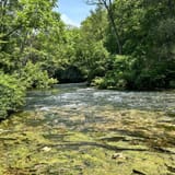 Blue Spring Trail, Missouri - 229 Reviews, Map | AllTrails