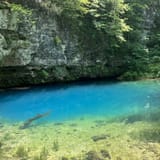 Blue Spring Trail, Missouri - 229 Reviews, Map | AllTrails