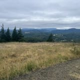 Fitton Green Natural Area Trail, Oregon - 381 Reviews, Map | AllTrails
