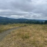 Fitton Green Natural Area Trail, Oregon - 381 Reviews, Map | AllTrails