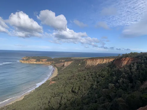 10 Best Trails and Hikes in Anglesea | AllTrails