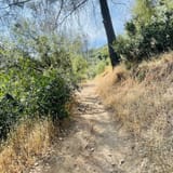 Robie Point Firebreak Trail, California - 1,059 Reviews, Map | AllTrails