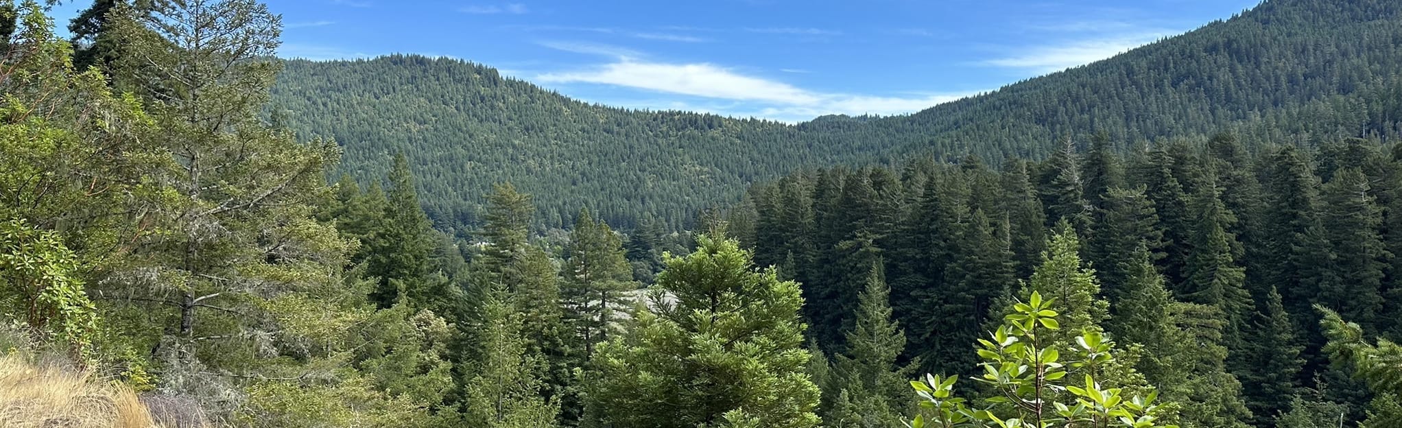 Williams Grove Trail From Hidden Springs Campground, California - 126 ...