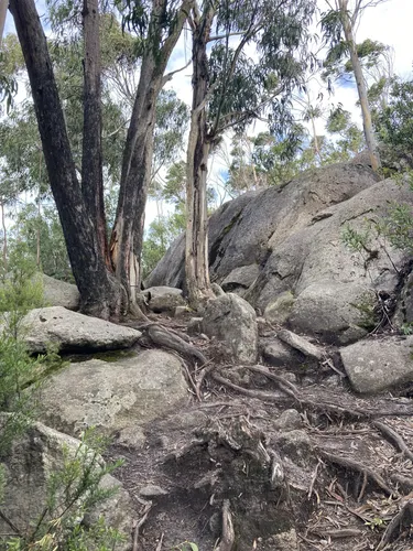 Seven Acre Rock Natural Features and Scenic Reserve : les meilleures ...