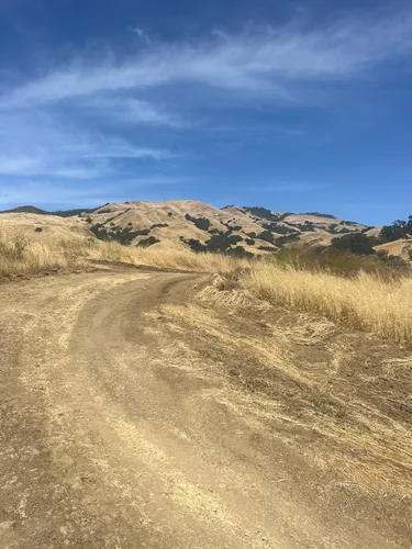 Best Mountain Biking Trails in Mount Diablo State Park | AllTrails