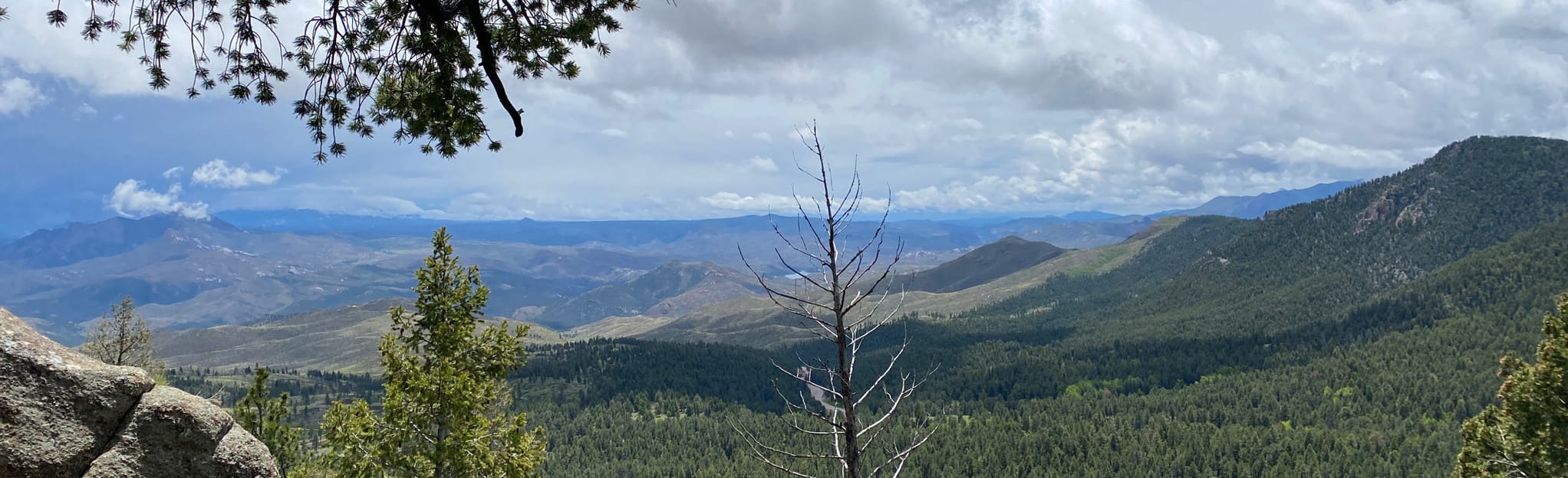 Long Scraggy Peak: 165 Reviews, Map - Colorado | AllTrails