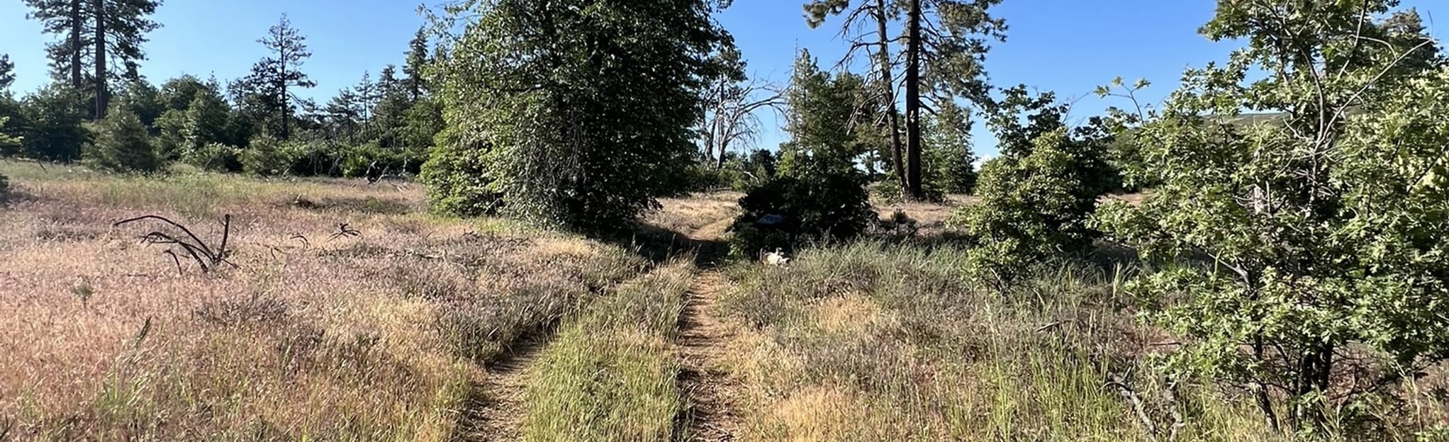 Foster Point Trail: 219 Reviews, Map - California | AllTrails