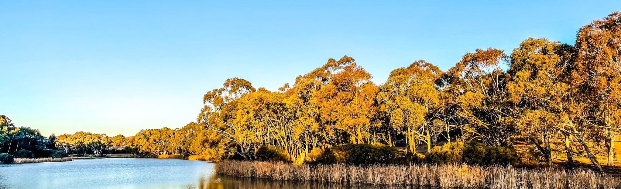 Pine Island to Mount Stranger Loop: 24 Reviews, Map - Australian ...