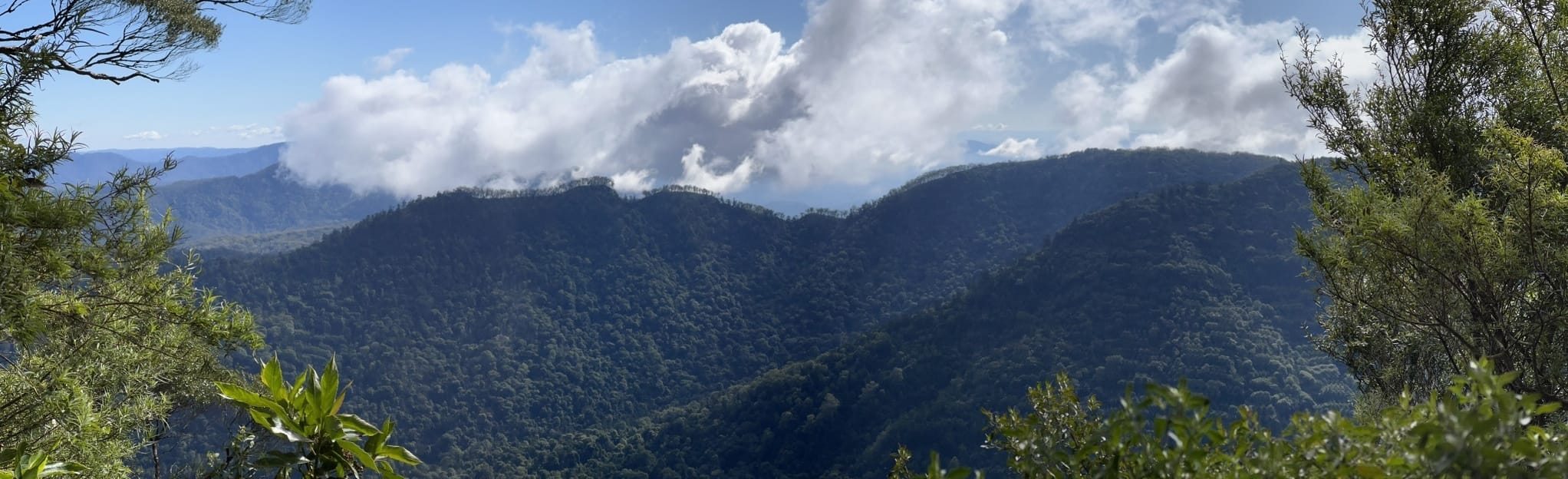 Mount Superbus Trail, Queensland, Australia - 45 Reviews, Map | AllTrails