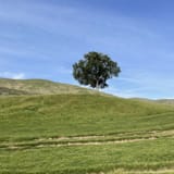 The Cateran Trail, Perth and Kinross, Scotland - 25 Reviews, Map ...