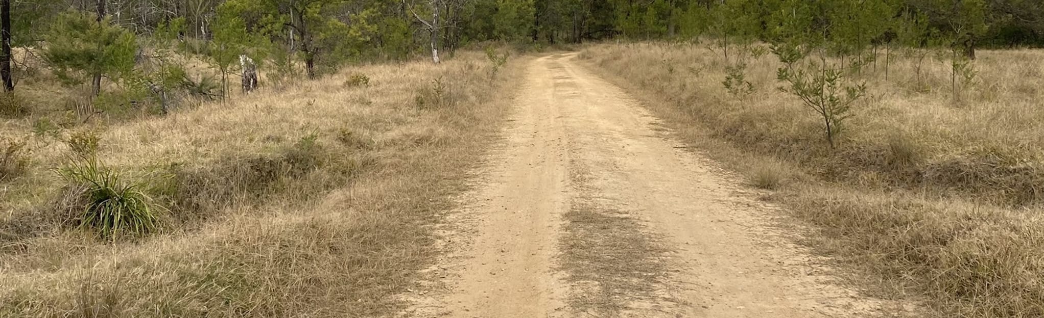 AllTrails | Kedumba Valley Road: 5 Reviews, Map - New South Wales, Australia