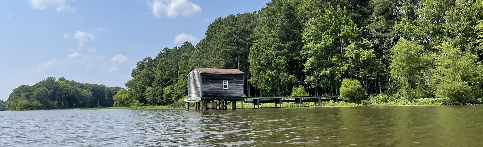 Lake Chesdin Paddle Trip, Virginia - 9 Reviews, Map | AllTrails
