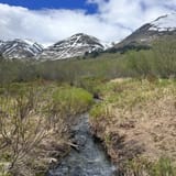 Carter Lake Trail, Alaska - 318 Reviews, Map | AllTrails