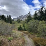 Carter Lake Trail, Alaska - 318 Reviews, Map | AllTrails
