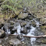 Carter Lake Trail, Alaska - 318 Reviews, Map | AllTrails