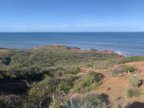 10 Best Trails and Hikes in Anglesea | AllTrails