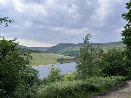 10 Best Trails, Walks, and Paths in Oldham | AllTrails