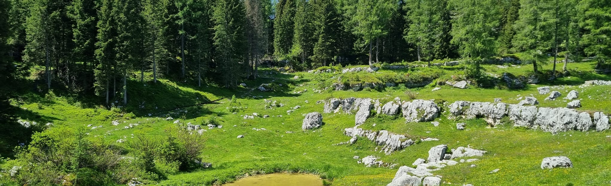 Tiffgruba - Malga Fossetta, Veneto, Italy - Map, Guide | AllTrails