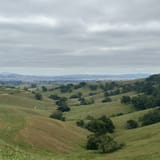 Timberhill Park Trail, California - 228 Reviews, Map | AllTrails