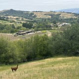 Timberhill Park Trail, California - 228 Reviews, Map | AllTrails