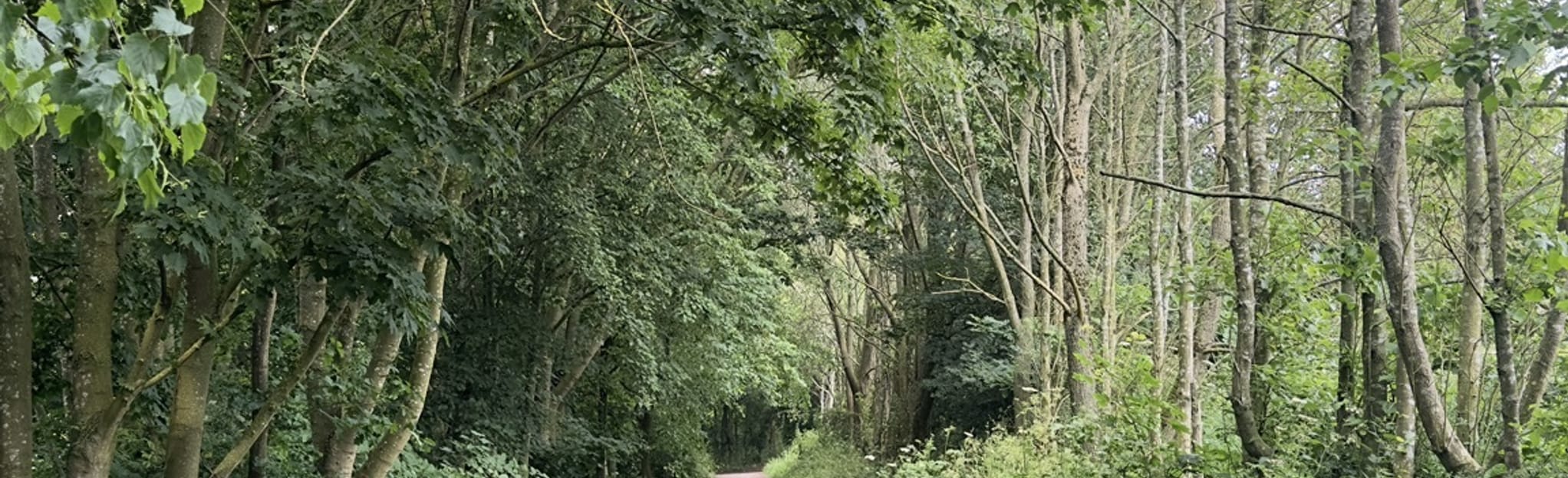 AllTrails | Five Pits Trail: 74 Reviews, Map - Derbyshire, England