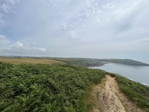 10 Best Trails, Walks, and Paths in Tenby | AllTrails