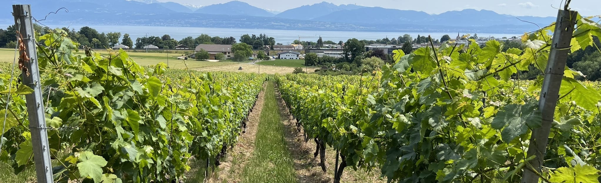 Sentier de la Truite: Morges - Saint-Prex: 8 Reviews, Map - Vaud ...