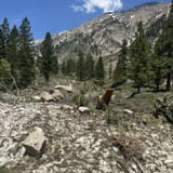 Barney Lake, California - 494 Reviews, Map | AllTrails
