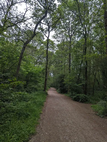 Best Hikes and Trails in Ashtead Common National Nature Reserve | AllTrails