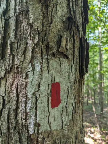 Best Hikes and Trails in Knight Brown Nature Preserve | AllTrails